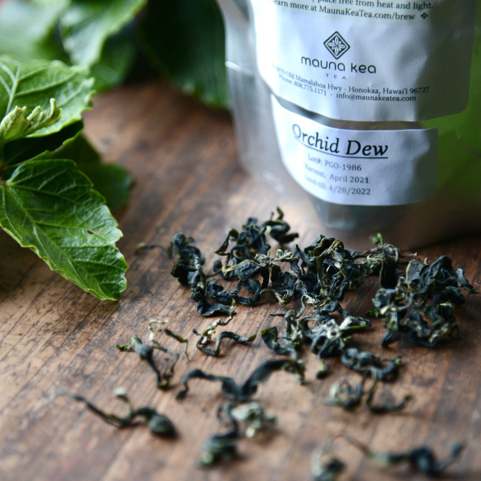 Premium Green Tea - Orchid Dew - Mauna Kea Tea
